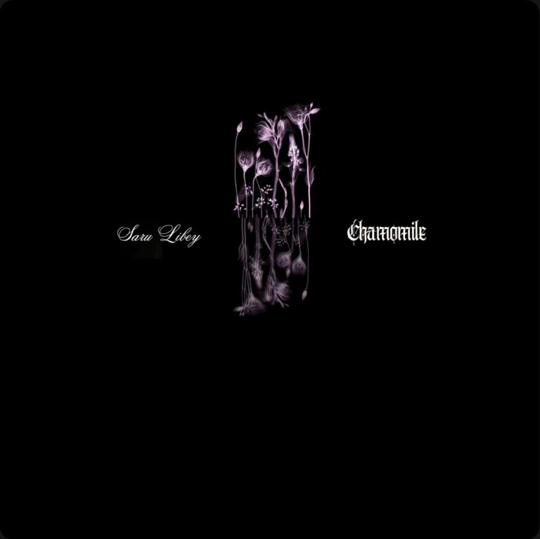 Beyond the Mainstreams Review of “Sooey” by Coey Redd – Beyond The ...